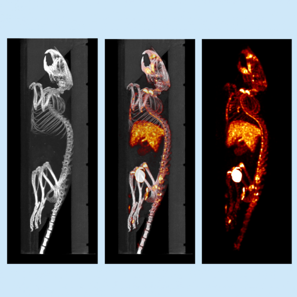 Tecnasa, Associated Technologies - TECNASA, Tecnologías asociadas